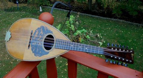 Image result for 12 String Mandolin