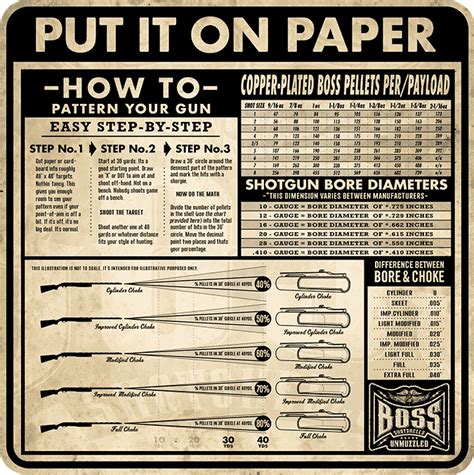 Image result for Patterning Shotgun with Boss Shot Shells