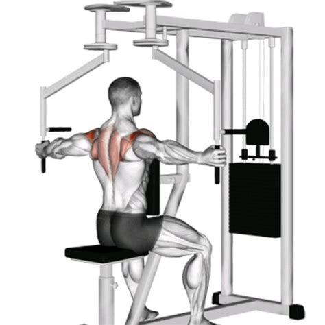 Image result for Machine Fly Workout