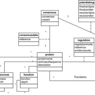 Image result for Database Entities