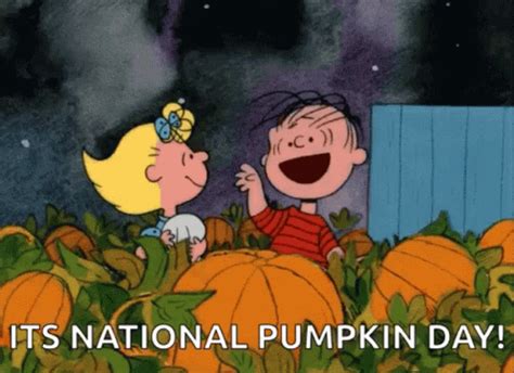 Linus Peanuts GIF - Linus Peanuts Pumpkin - Discover & Share GIFs