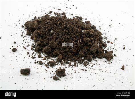 Image result for Humus Fertilizer