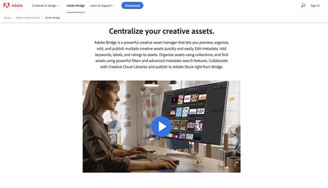 Image result for Bridge Editing Tutorial