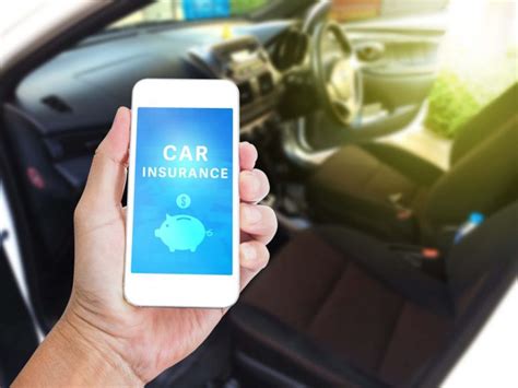 Image result for Florida Auto Insurance