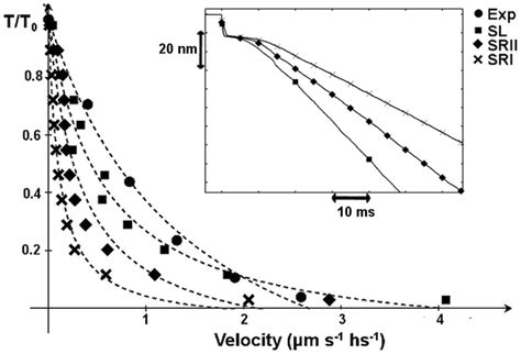 Image result for Isotonic Isometric Contraction