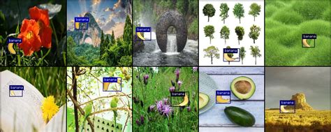 Image result for Object Detection Dataset