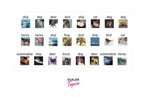 Image result for Tensorflow Image Classification