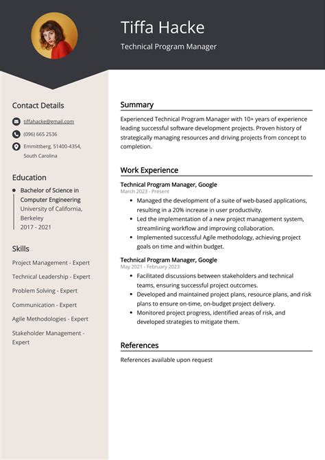 Image result for Technical Program Manager Resume Writing Format