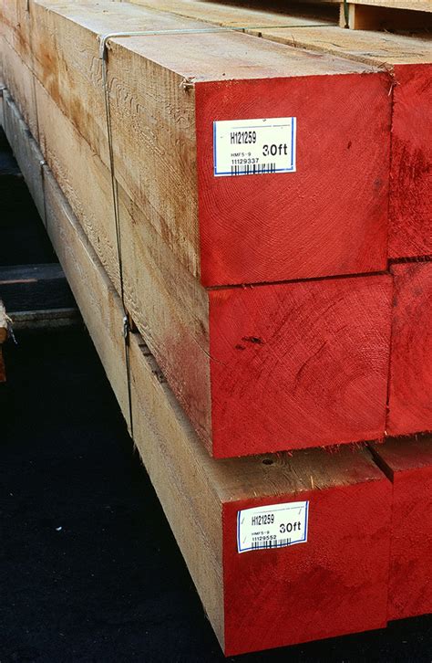 Image result for Hemlock Rustage