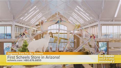 Image result for Scheels Sporting Goods