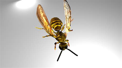 Image result for 3D Wasp Drone Tutorial