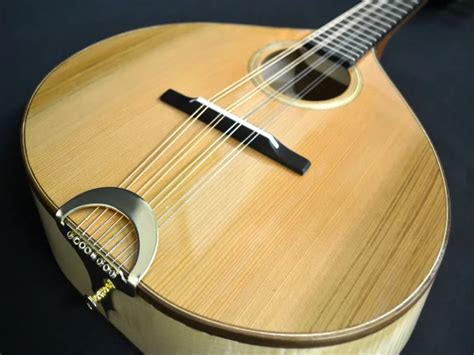 Image result for 10 String Mandolin