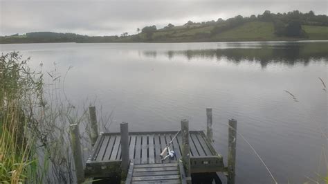 Image result for Fish Fail