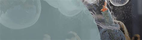 Image result for Developmental Trauma Bruce Perry