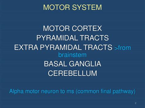 Image result for Extrapyramidal System Ppt