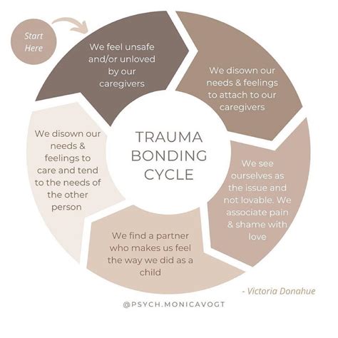 Image result for Trauma Cycle