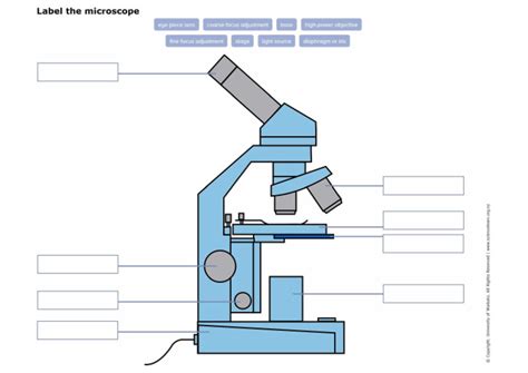 Image result for Microscope Label Diagram