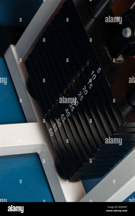 Image result for Body Weight Machine