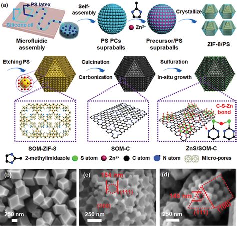 Image result for Morphological Synthesis Example