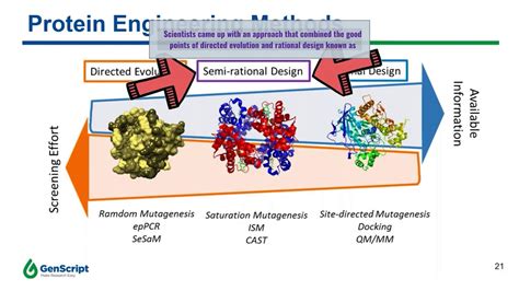 Image result for GenScript Protein Purification