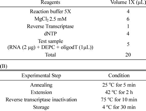 Image result for RT-PCR Master Mix