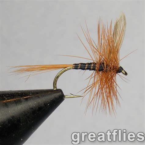 Image result for Red Quill Fly Pattern