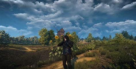 Image result for Installing Witcher 3 Mods