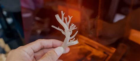 Image result for C4D Medical Modeling