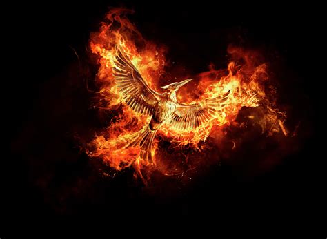 Mockingjay Wallpapers - Wallpaper Cave