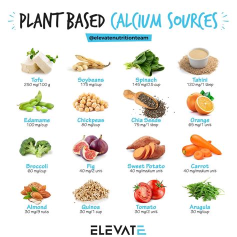 Image result for Calcium Sources