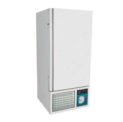 Image result for What Is Deep Freezer Compressor