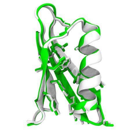 Image result for Computer Simulation of Protein Folding