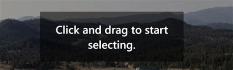 Image result for How to Use Web Capture