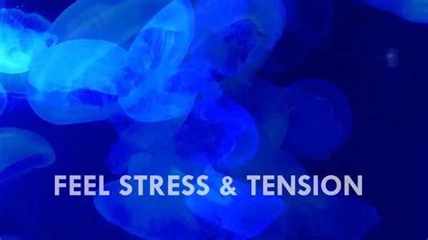 Image result for 2 Min Exercise