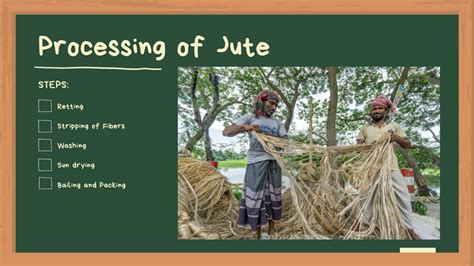Image result for Jute Processing