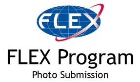 Image result for Flex Program Free