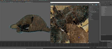 Image result for Maya Texturing
