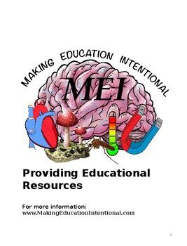 Image result for 3rd Grade Science Design Process