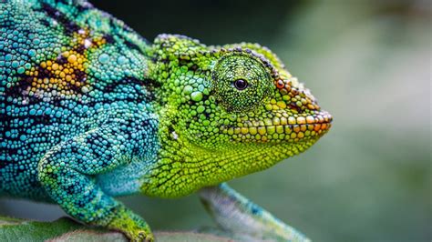 Image result for Unpredictable Future