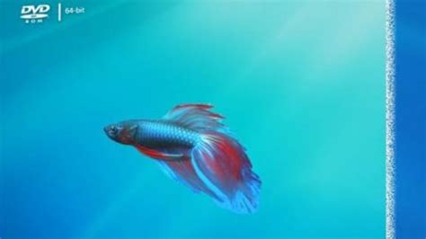 Image result for User Account Control Windows 7