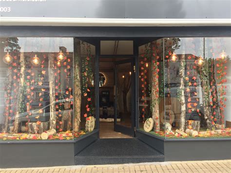 Image result for Fall Window Display Ideas