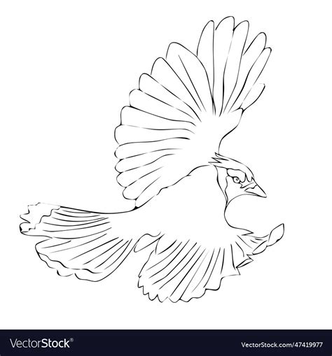 Image result for Mockingjay Bird Drawing