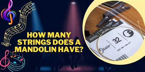 Image result for Mandolin String Types