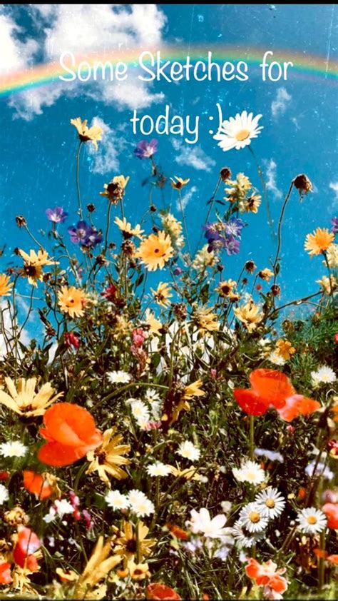 Random Sketches