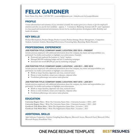 Image result for Job Resume Format Examples