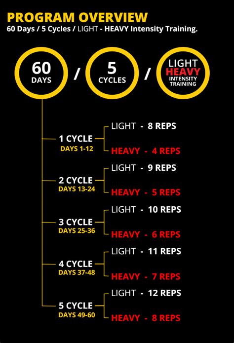 Image result for 4 Week Workout Routine