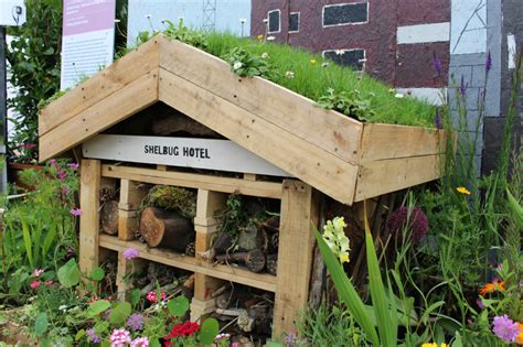 Image result for Biodiversity Science Projects