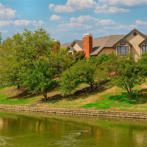 Image result for Live Oak Tree Planting Tips