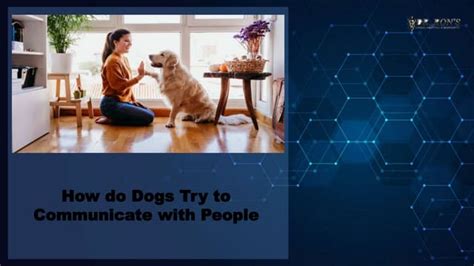 Image result for How Dogs Communicate with People