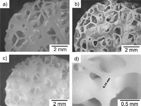 Image result for Trabecular Bone Structure
